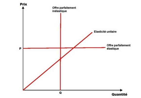 Qu'est-ce que l'élasticité de la demande